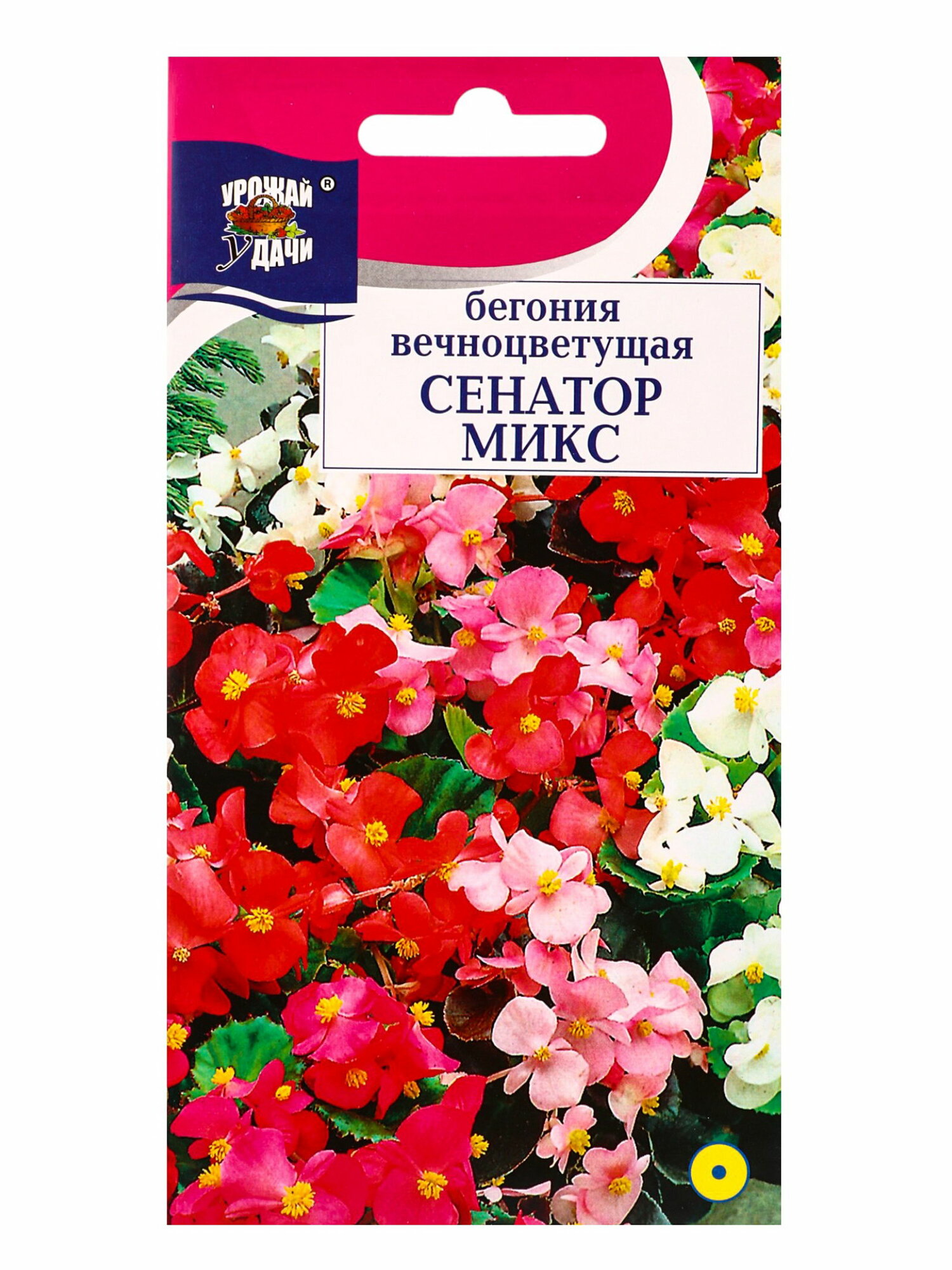 Семена цветов Бегония вечноцветущая "Сенатор микс", 0.002 г, вид: бегония
