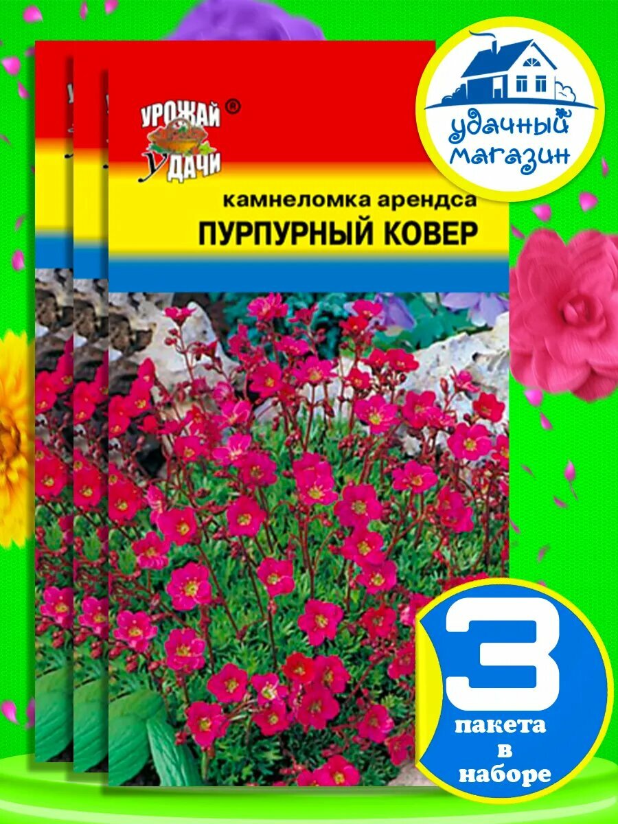 Семена цветов камнеломка арендса многолетняя красная набор 3 пакета