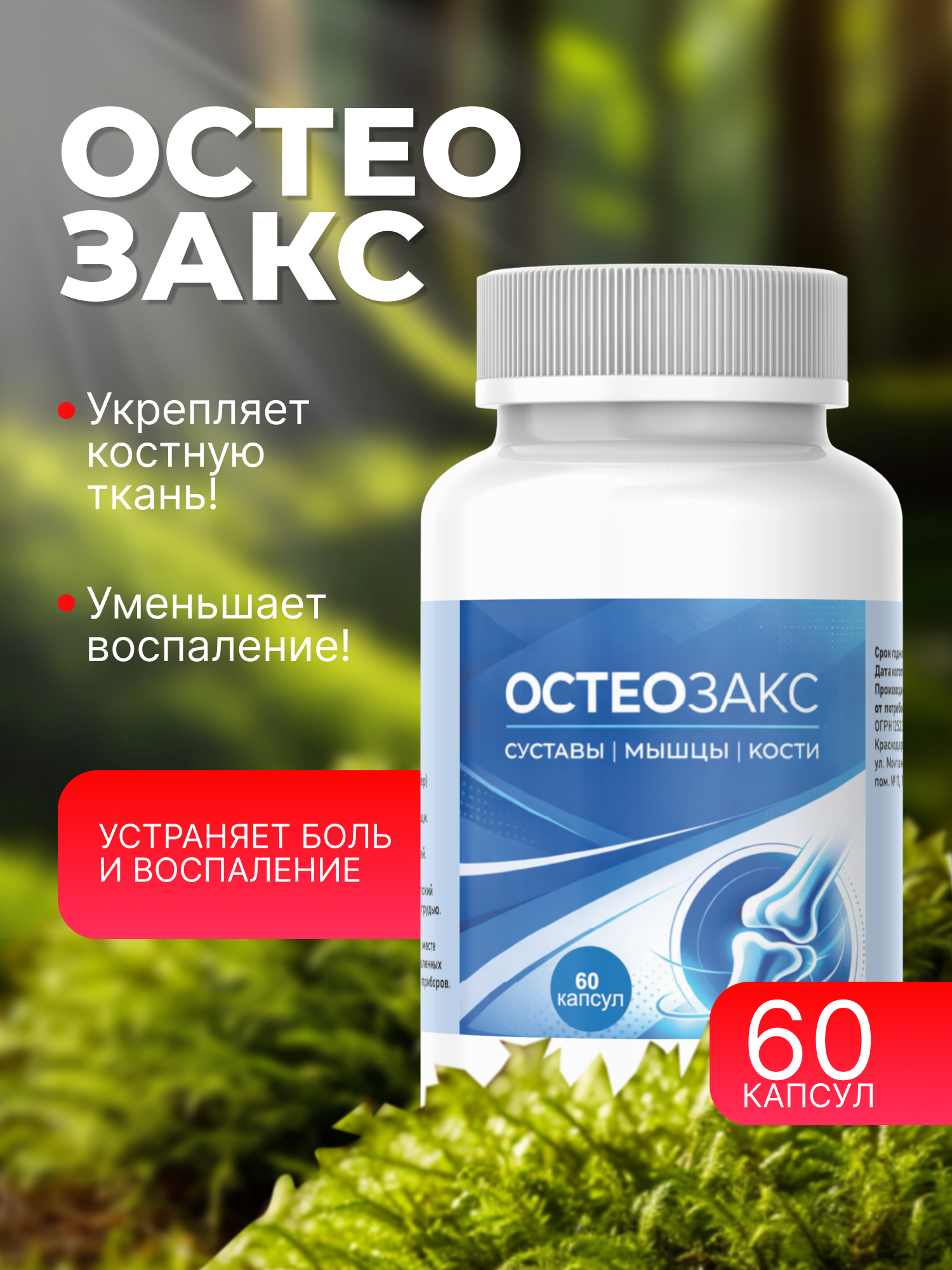 Комплекс для суставов Остеозакс, активные ингредиенты, натуральный состав, банка, 60 капсул