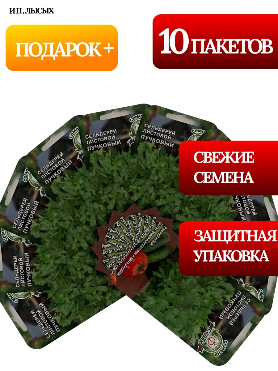 Семена Сельдерей "Пучковый"