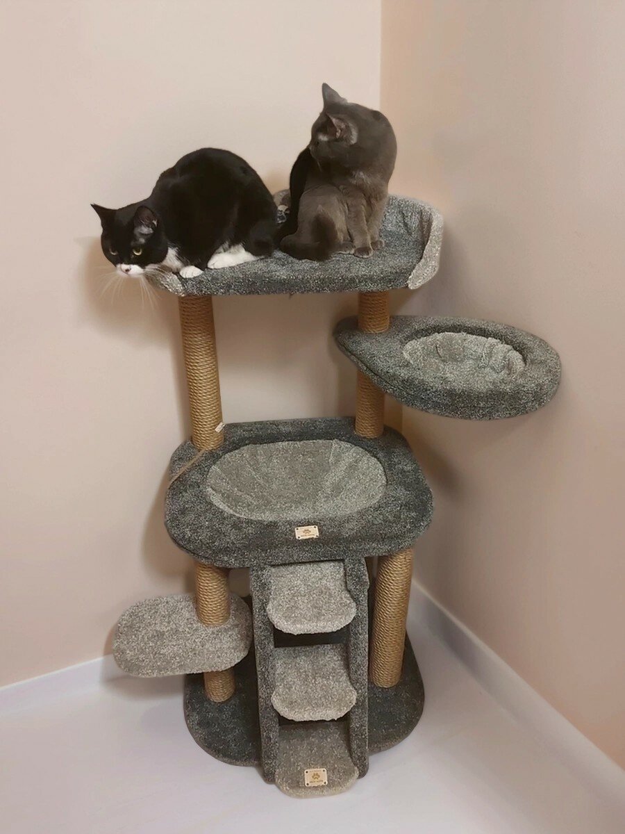 Комплекс игровой для нескольких кошек, Моя Котя "Джокер", ковролин и джутовый канат