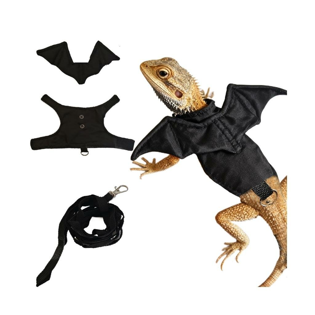 Хомуты для рептилий в виде динозавров, Черный