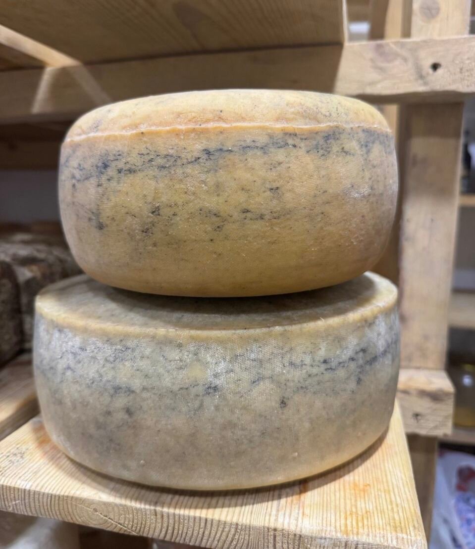 Сыр козий с молотым чёрным тмином 2кг.