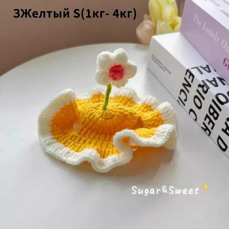 Вязаные шапочки для кошек и собак
