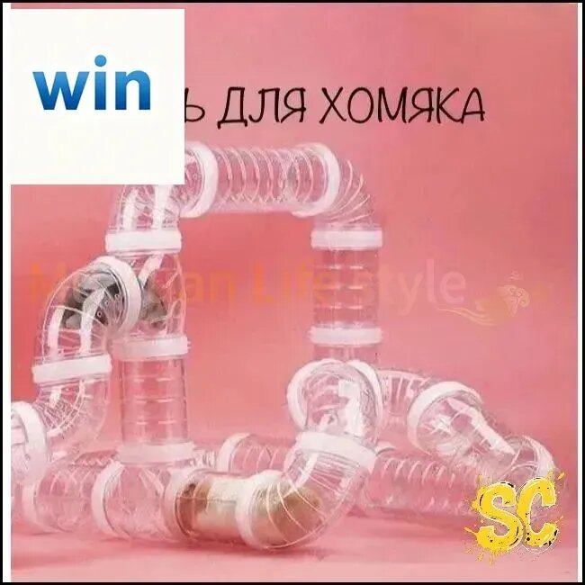 Игровой лабиринт для хомяков и грызунов YR - безопасный комплекс для мышей, крыс и песчанок