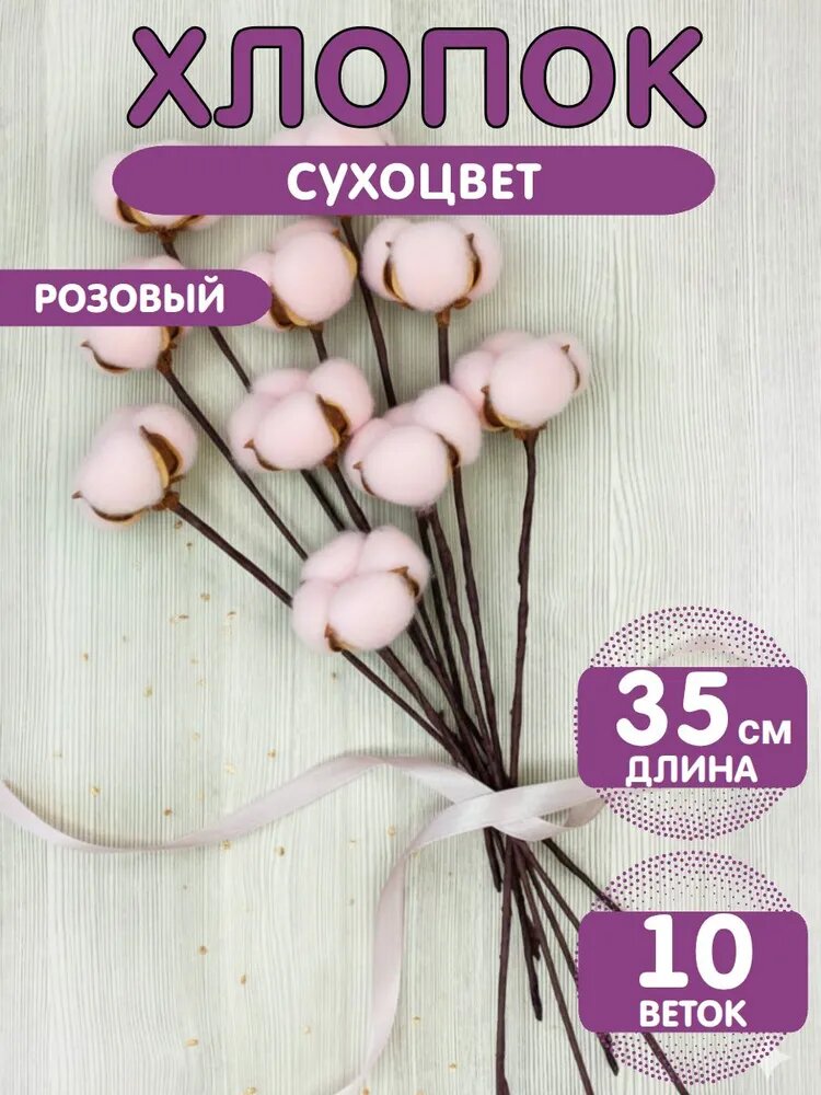 Сухоцветы Хлопок, 35 см, 10 шт