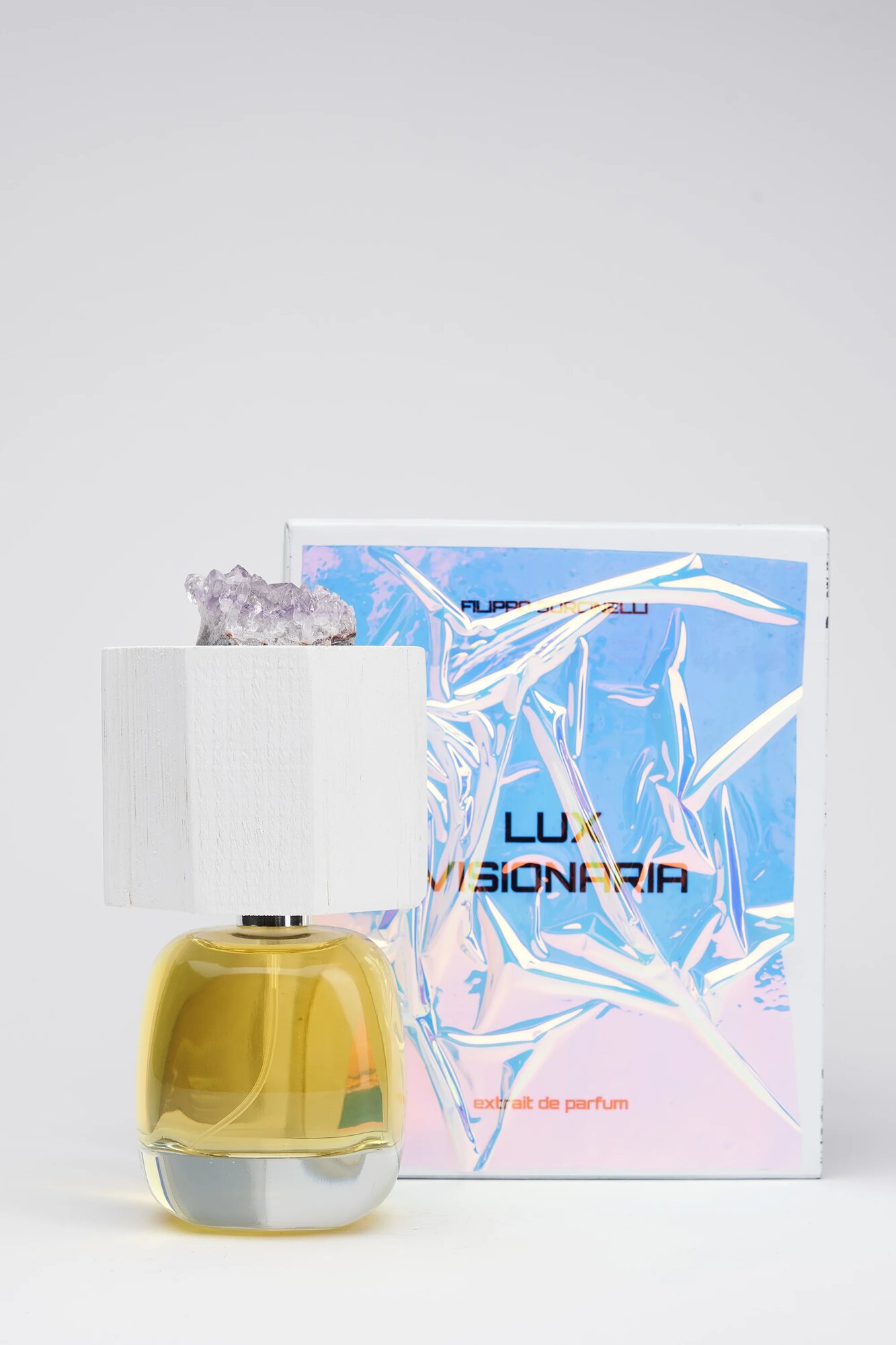 Filippo sorcinelli lux visionaria