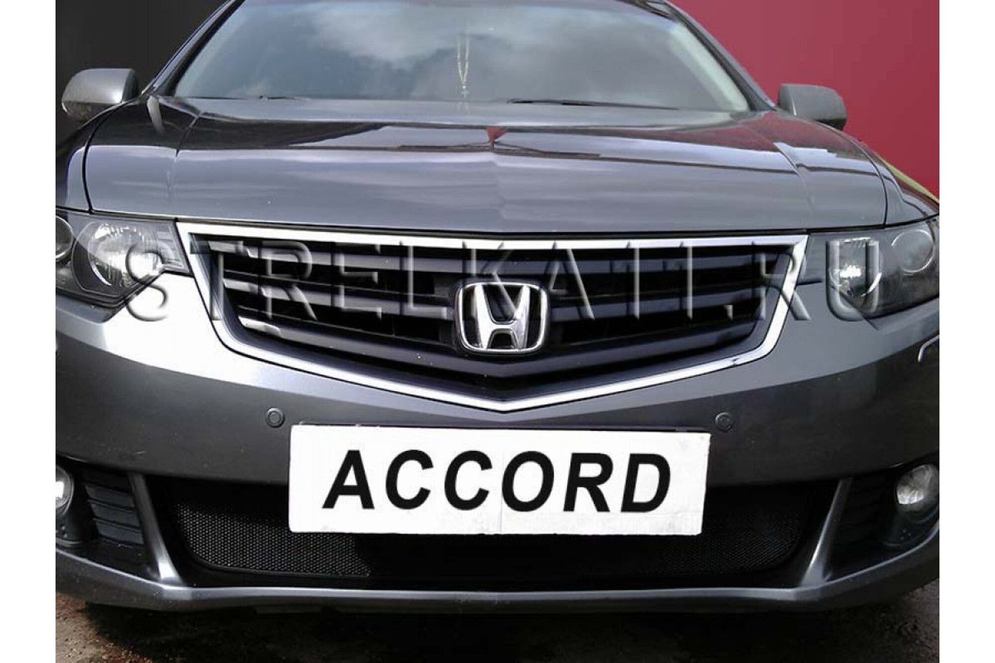 Защитная сетка радиатора с окантовкой и защелками для Honda Accord 2008-2011 (VIII), низ