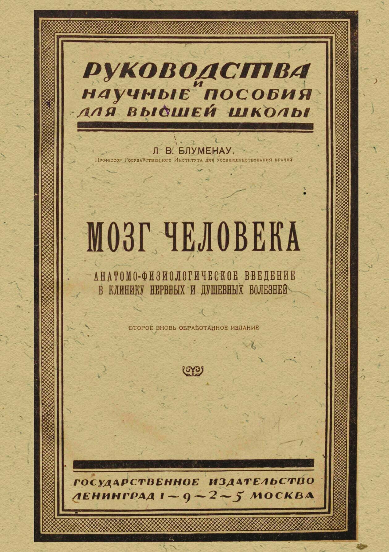Мозг человека — фото 1