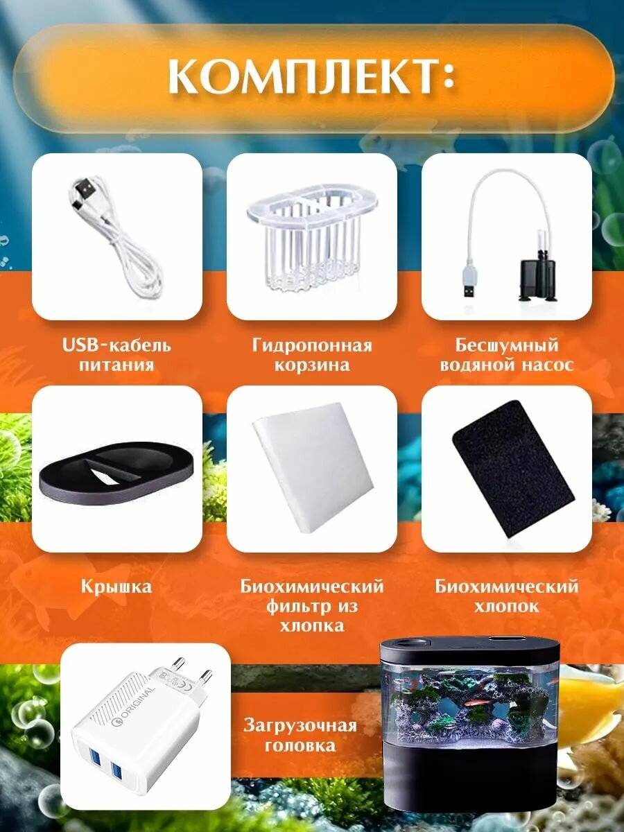 Мини-аквариум — фото 1