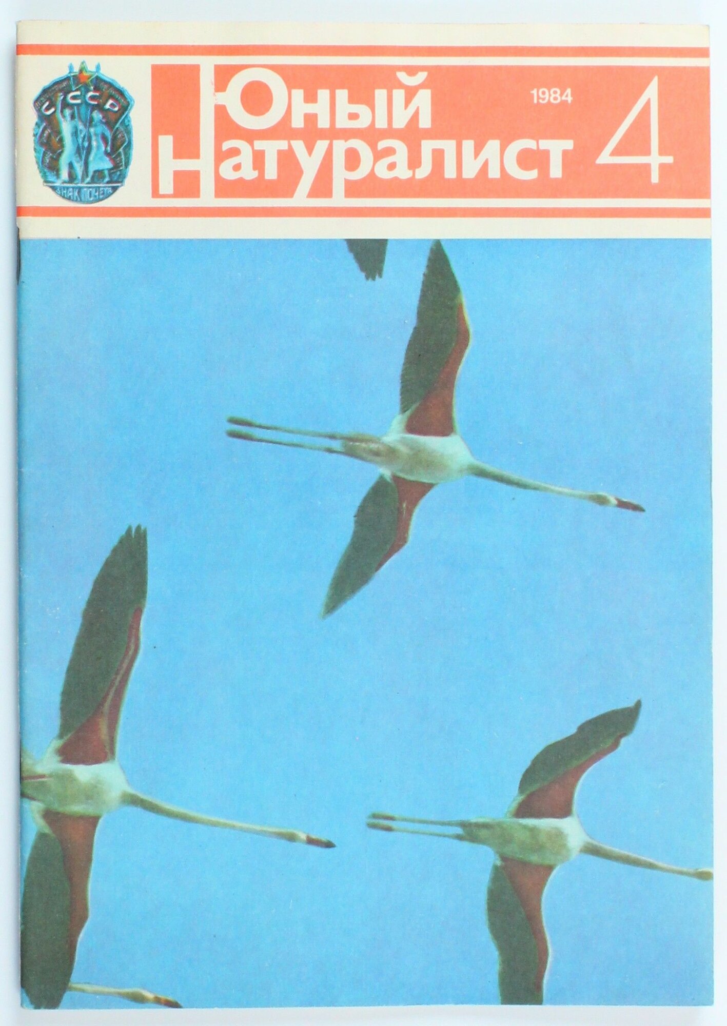 Винтажный журнал СССР Юный Натуралист, выпуск 04/1984