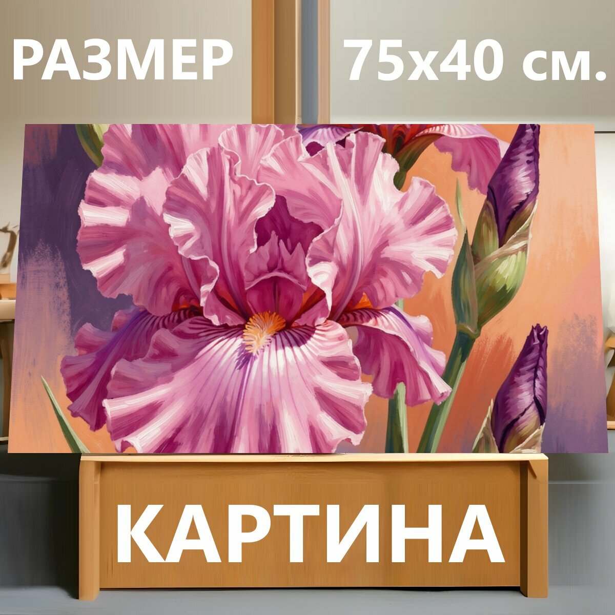Картина на холсте "Розовые ирисы в цветении. Нежные садовые цветы в крупном плане, живописная текстура мазков, сочетание розовых, лиловых и." на подрамнике 75х40 см. для интерьера