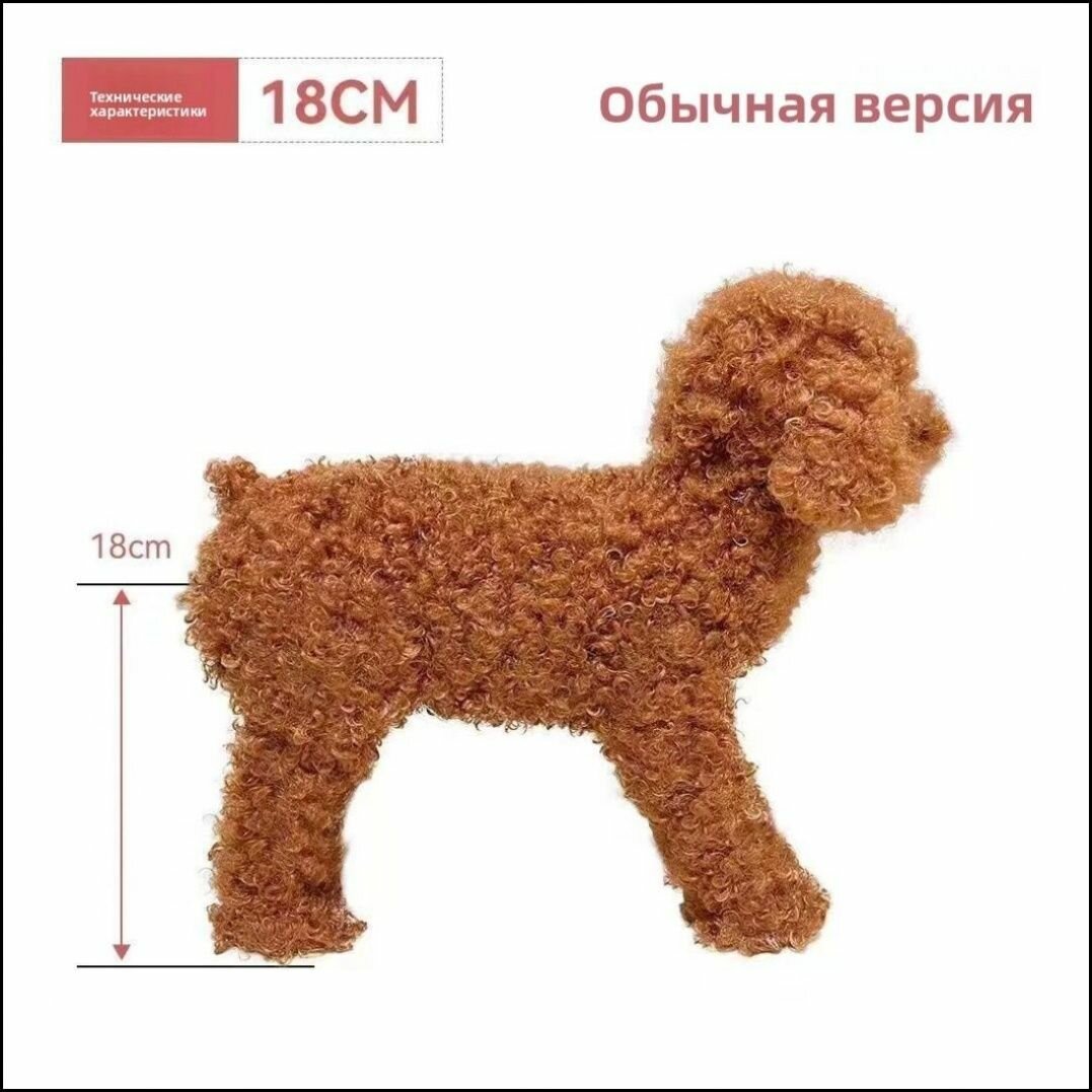 Эксклюзивный партнер для спаривания такс и бишонов, снимающий стресс у собак