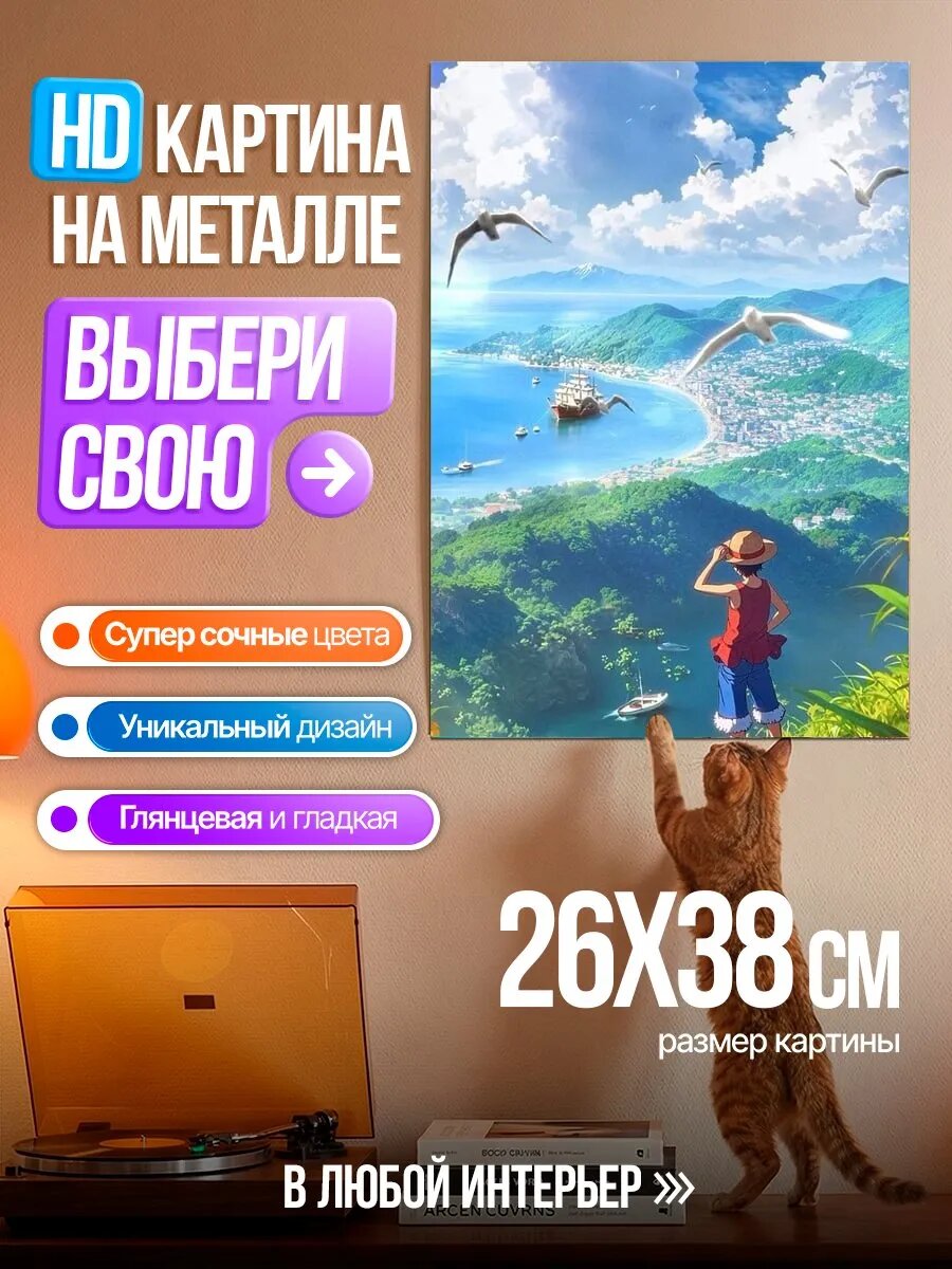Картина на HD металле Манки Д Луффи смотрит на море