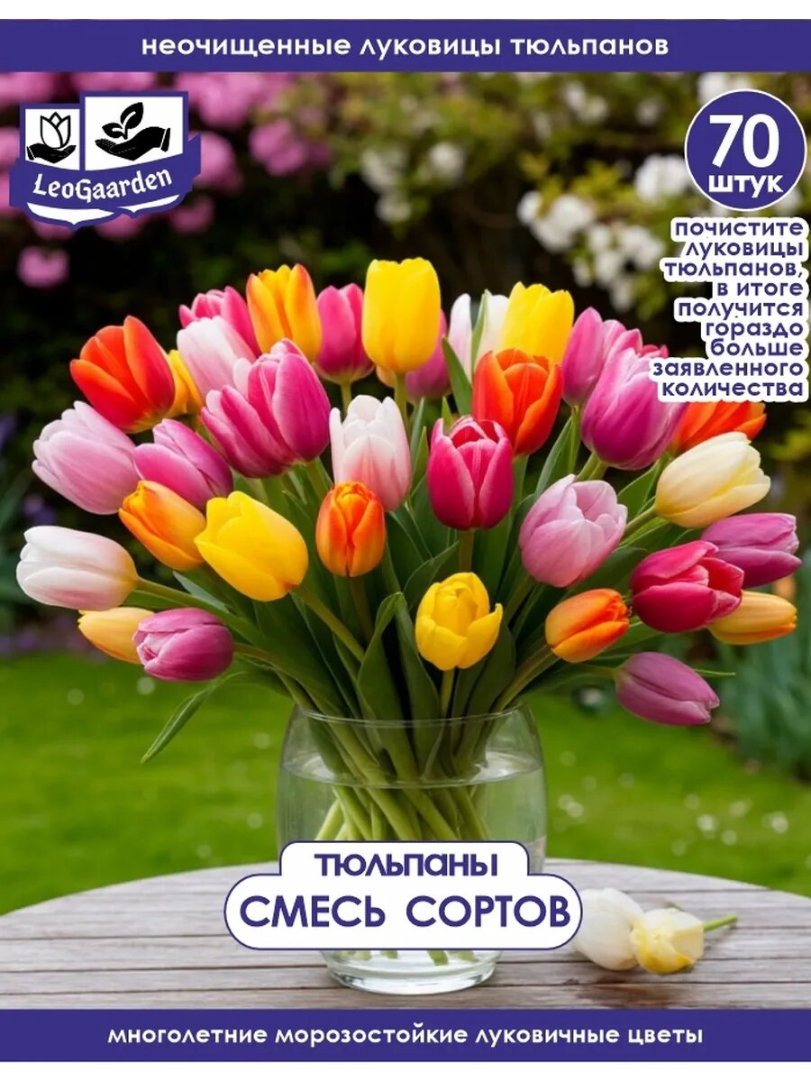 Тюльпан Луковицы неочищенный , Микс сортов, 70шт