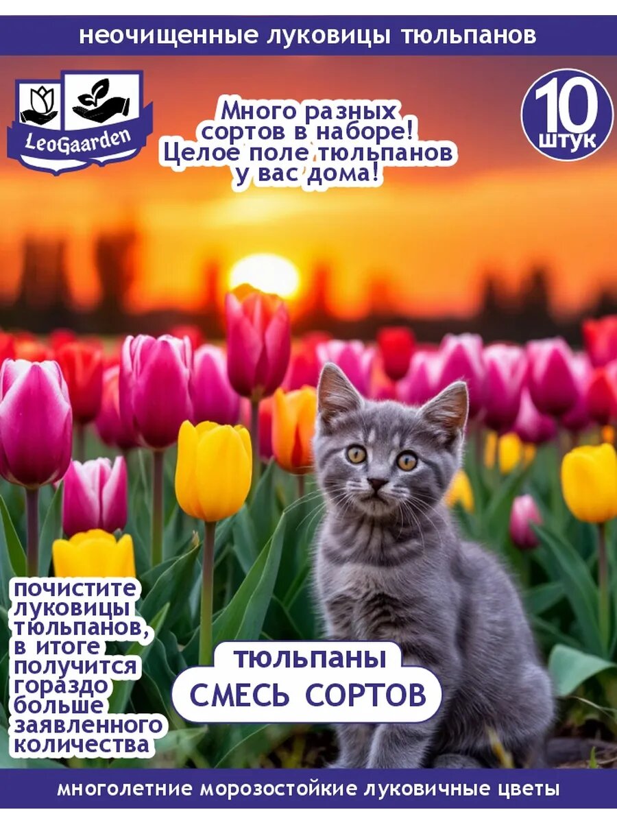Тюльпан Луковицы неочищенные, Микс сортов, 10 шт