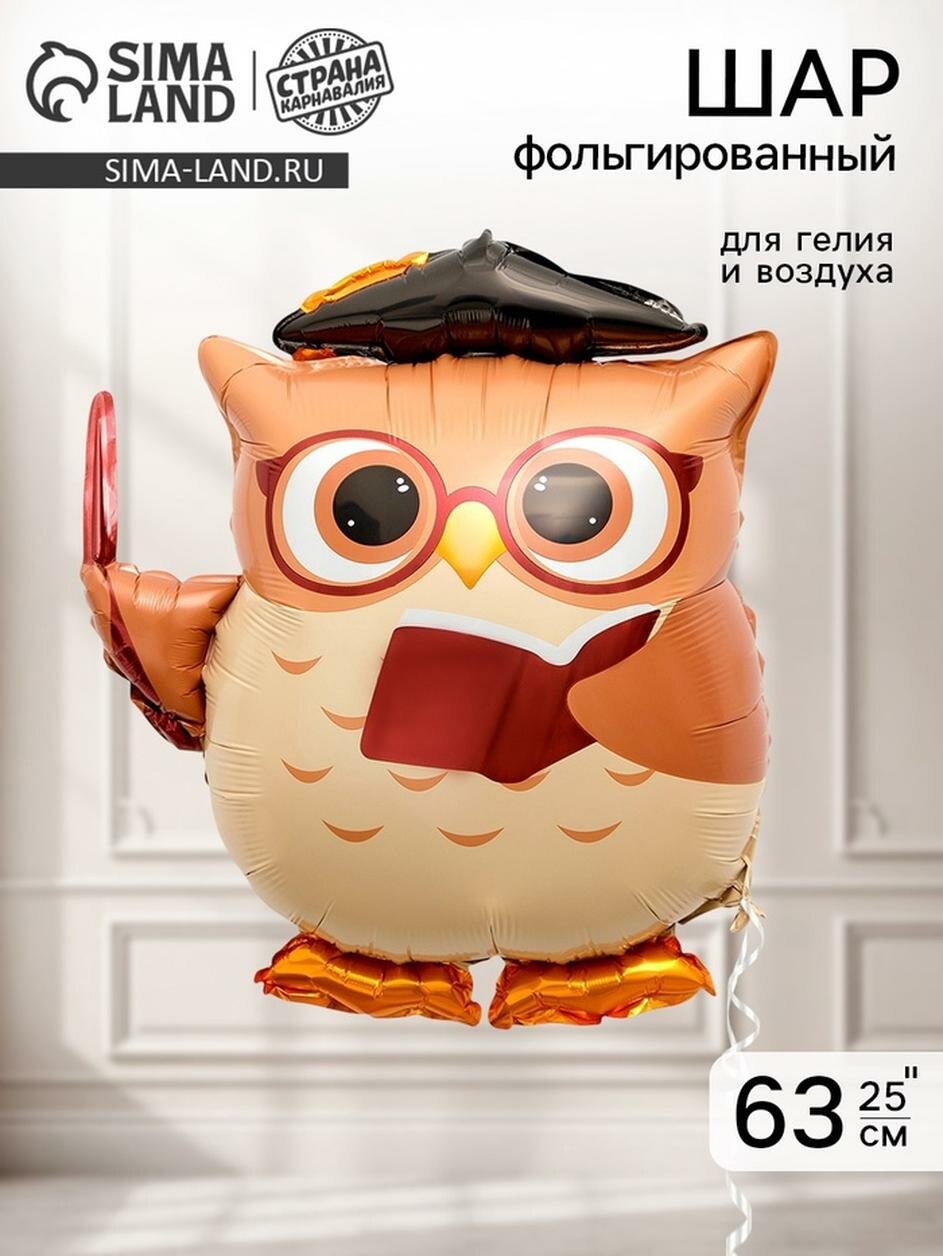 Воздушный шар Страна Карнавалия "Сова Учитель", фигурный, глянцевый, 25", 63 см