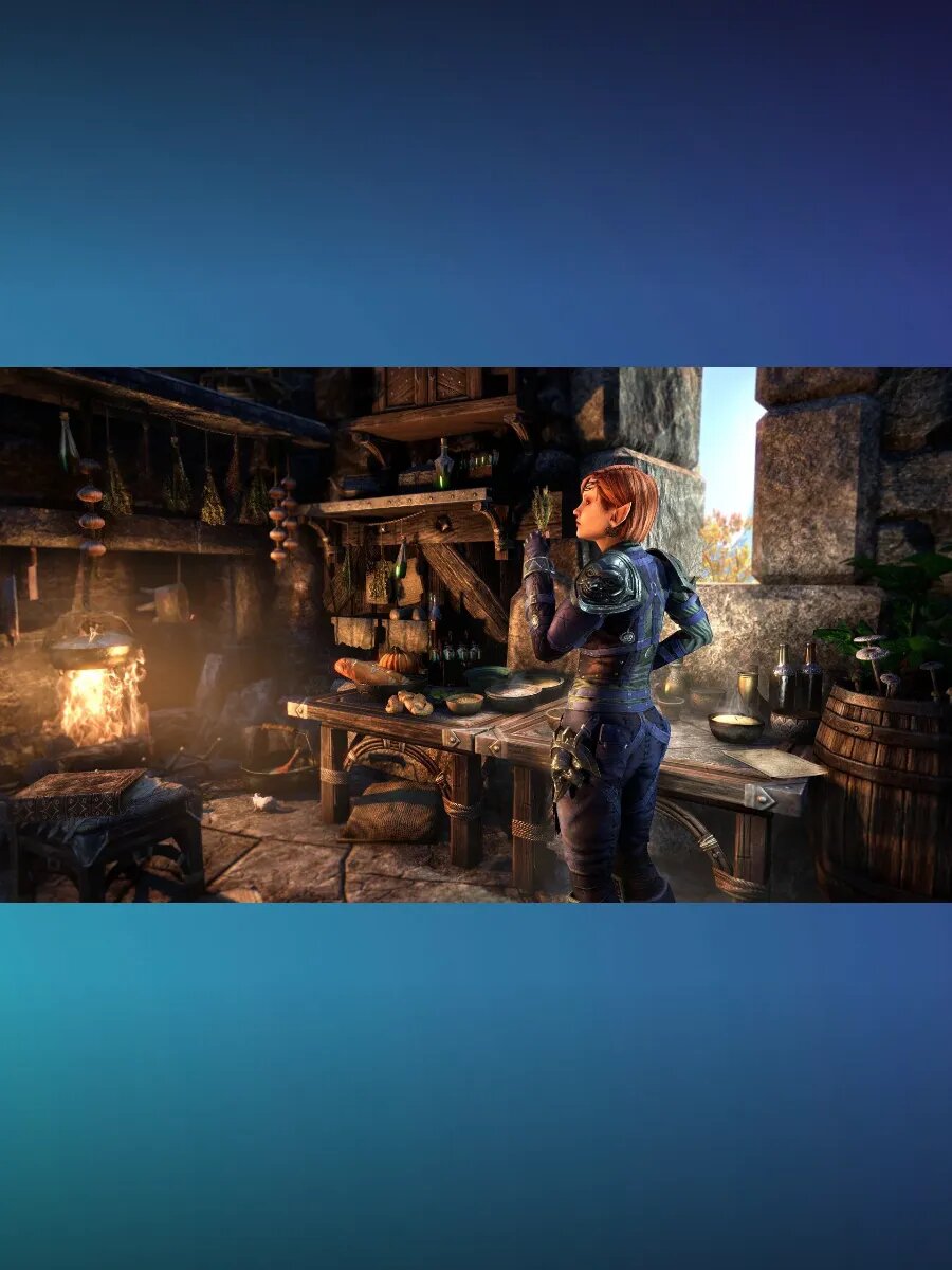 (PS4) The Elder Scrolls online — фото 1