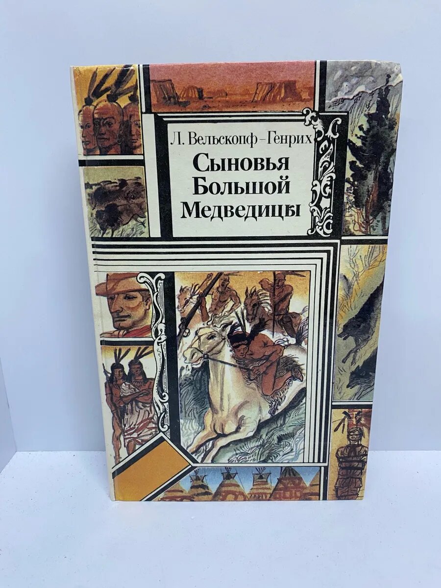 Книга Сыновья большой медведицы (80)