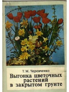 Выгонка цветочных растений в закрытом грунте