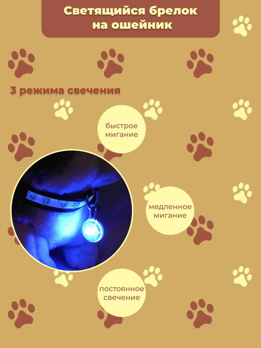 Светящаяся подвеска на ошейник, кулон на ошейник, маячок для собак , светодиодный фонарик