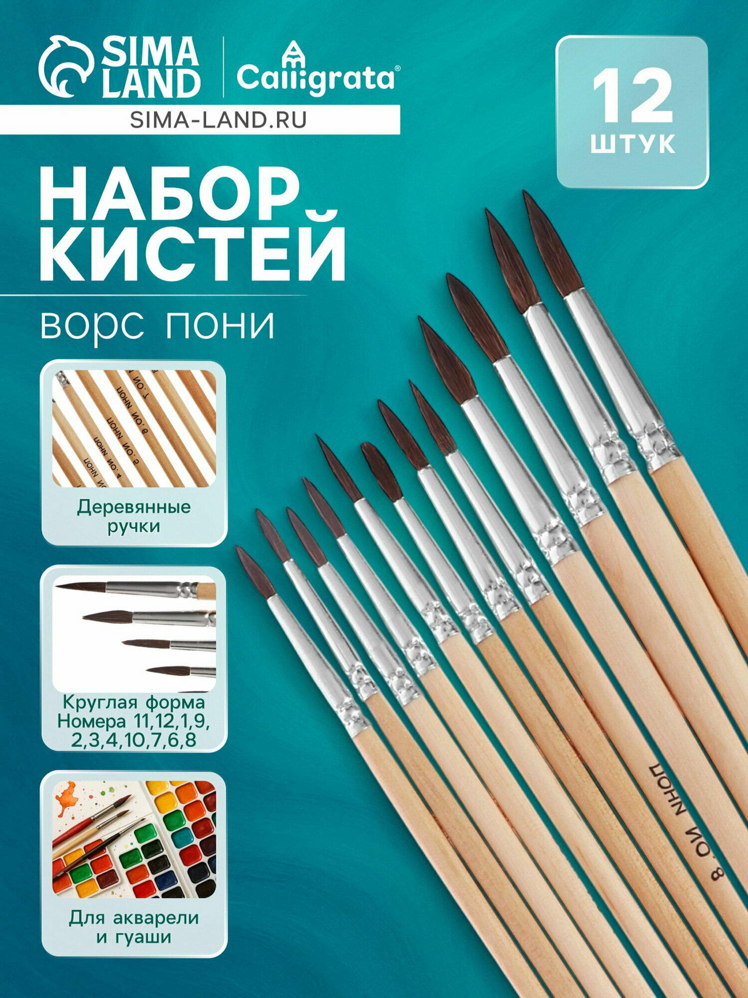 Кисти художественные для рисования, пони, 12 штук: № 1, 2, 3, 4, 5, 6, 7, 8, 9, 10, 11, 12, круглые, деревянная ручка, международный размер
