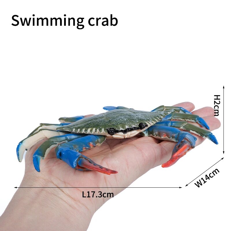 Фигурка краба Swimming crab, 17.3x14x2 см