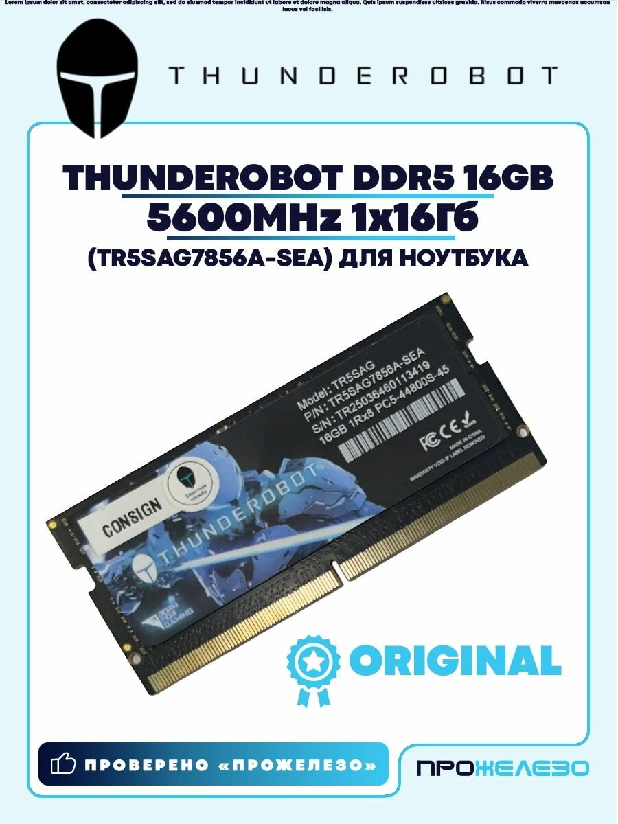Оперативная память Thunderobot DDR5 16Gb 5600MHz 1x16 ГБ (TR5SAG7856A-SEA)