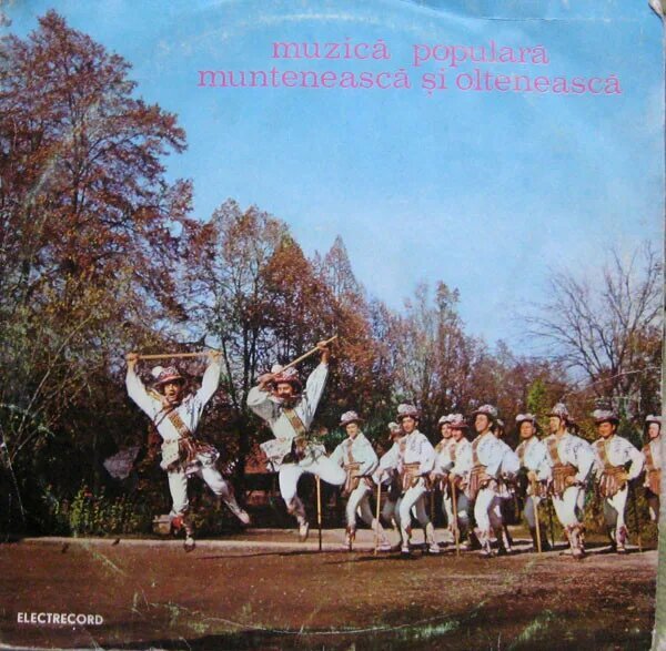 Various - Muzica Populara Munteneasca Si Olteneasca NM