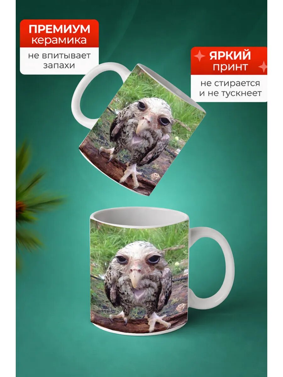 Кружка Сова птица, — фото 1