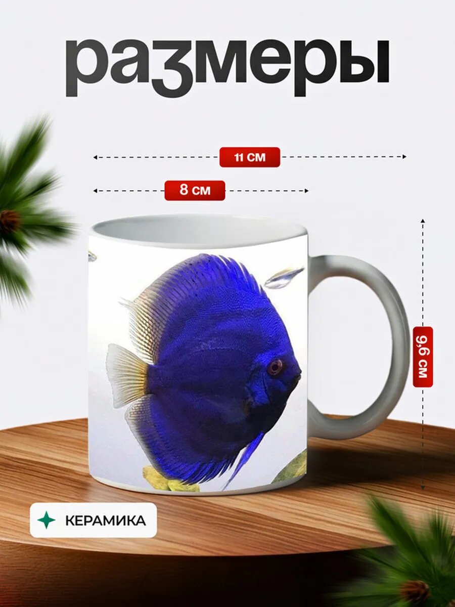 Кружка Дискус рыбка 2, — фото 1