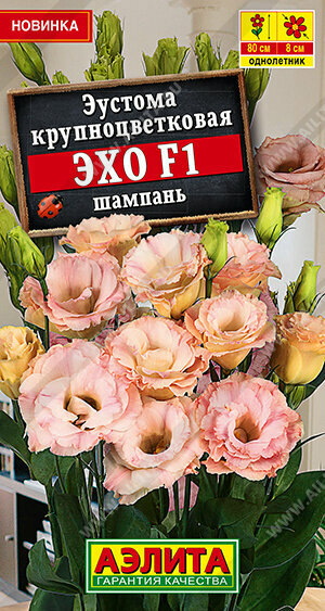 Семена эустомы аэлита "Эхо F1 шампань", крупноцветковая, срезочная