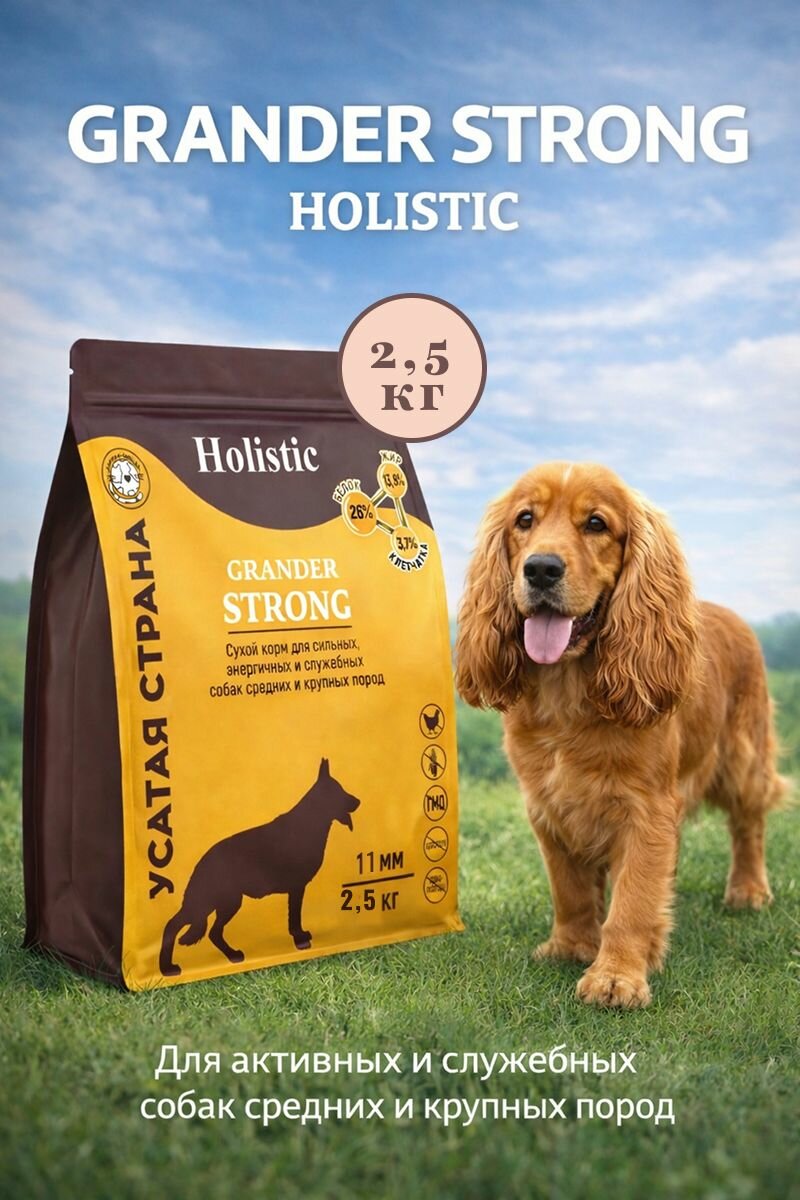 Сухой корм для собак Усатая Страна GRANDER STRONG HOLISTIC средних пород собак 2,5 кг размер гранул 11мм