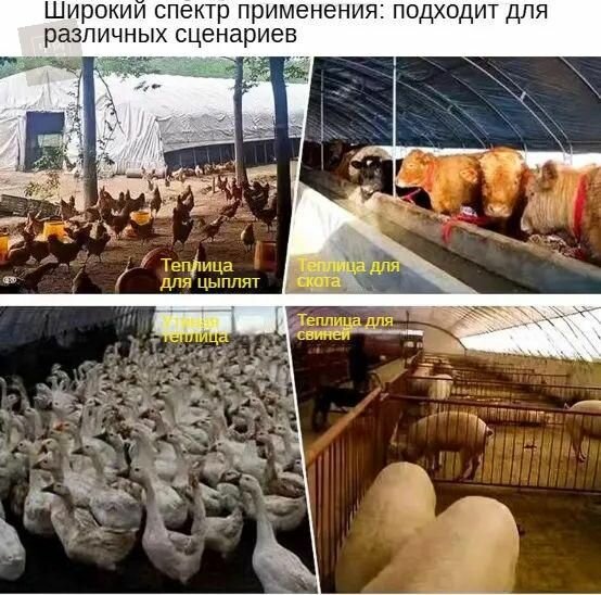 Парник, теплица — фото 1