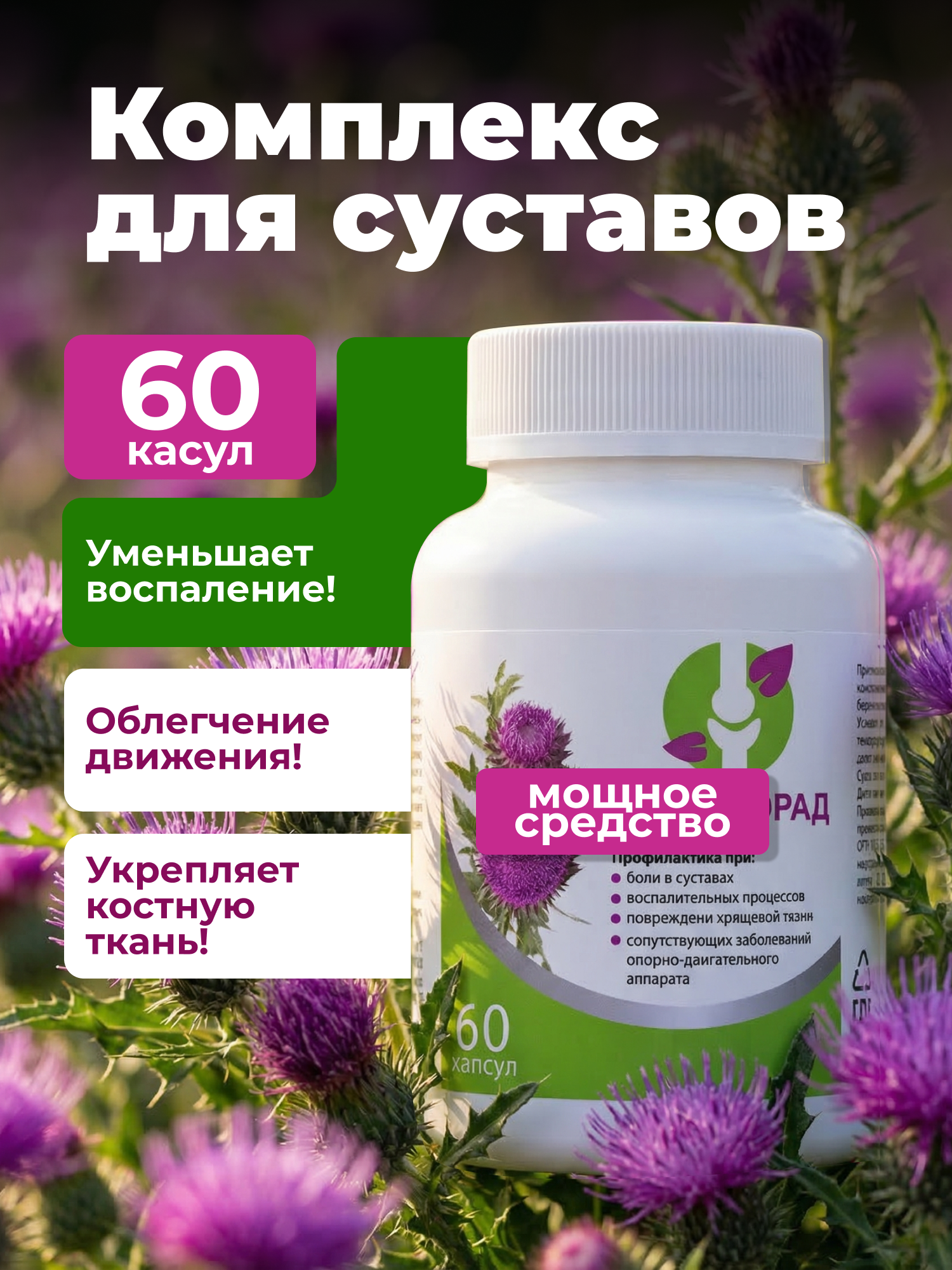 Комплекс Хондрорад для суставов и связок, профилактика воспалительных процессов, 60 шт. по 500 мг