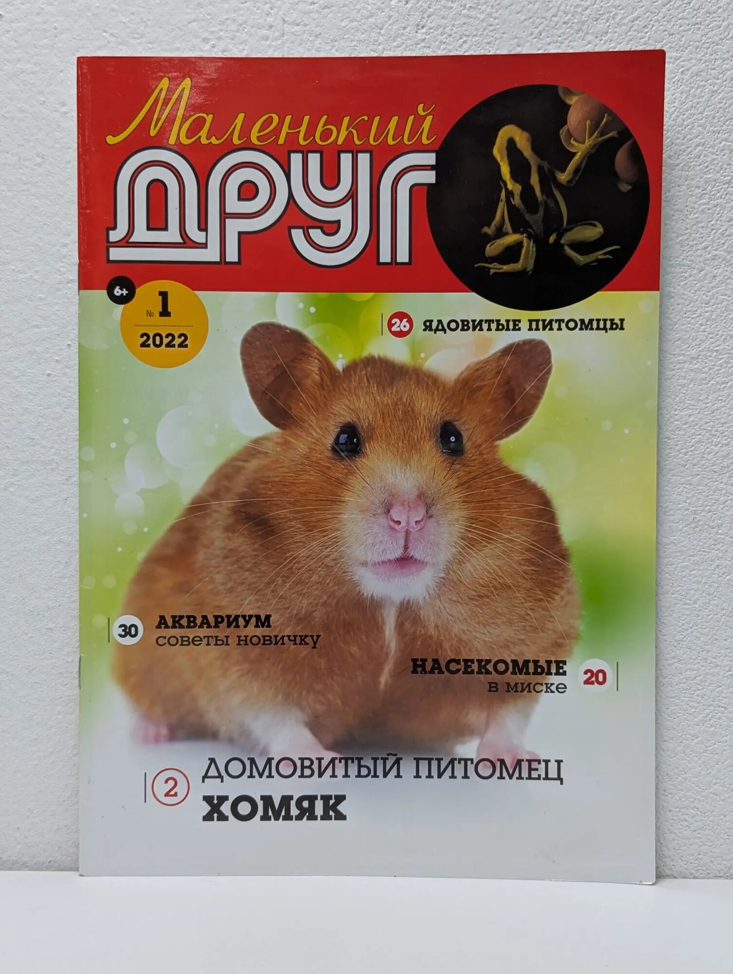 Маленький друг. Выпуск № 1/2022 Сборник 2022