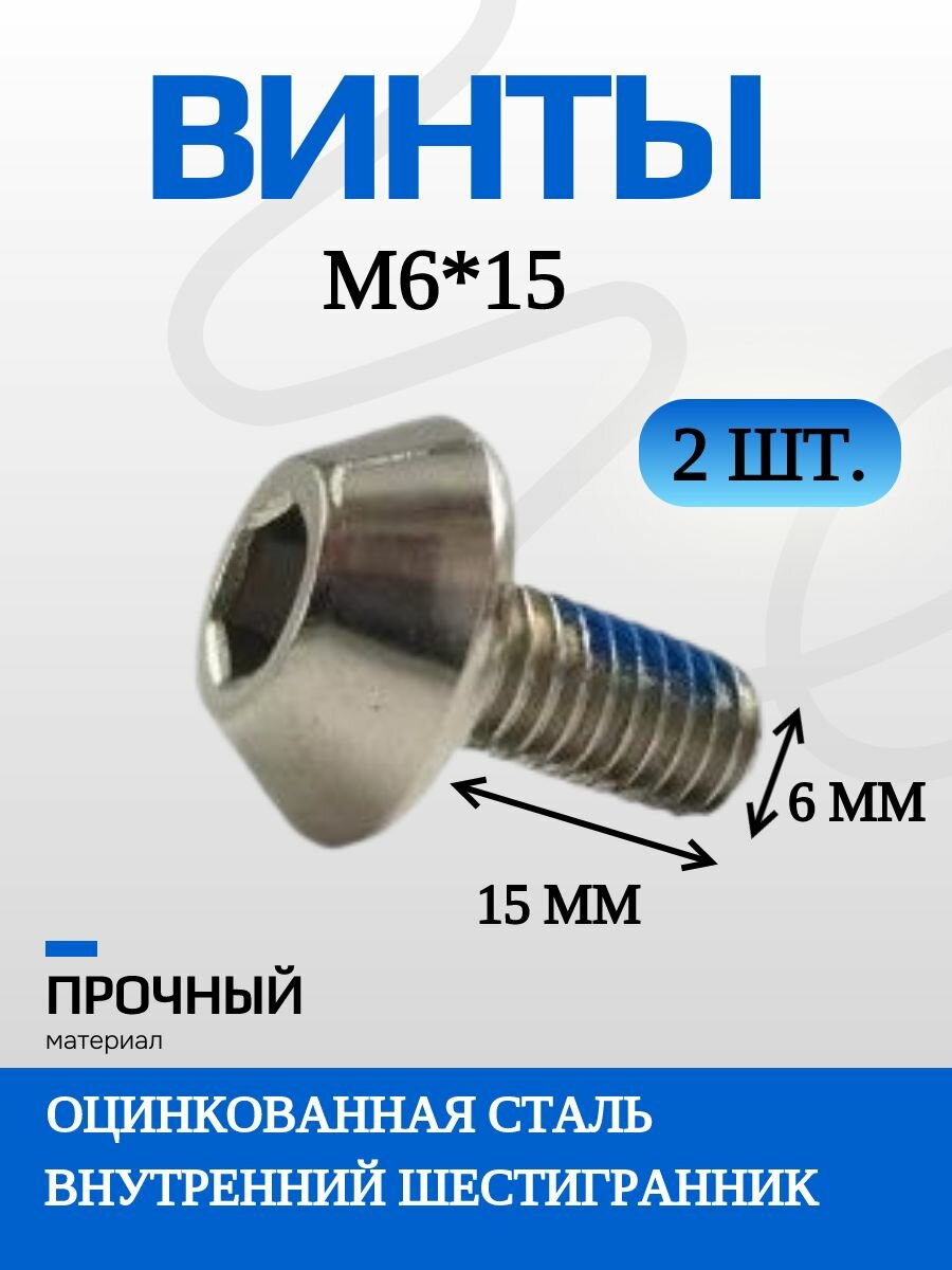 Винты М6*15 2 шт.