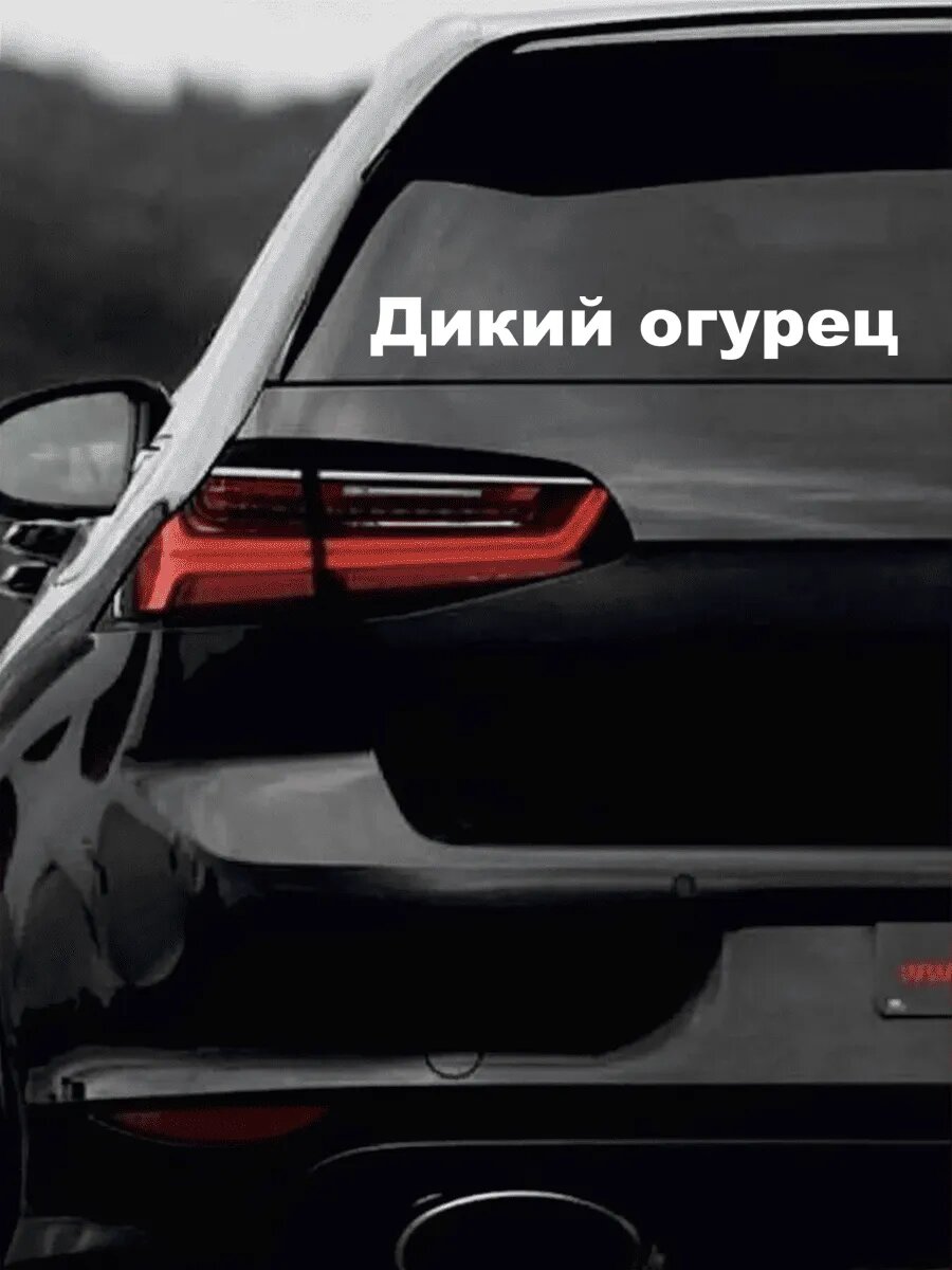 Наклейка на авто дикий огурец 30 см