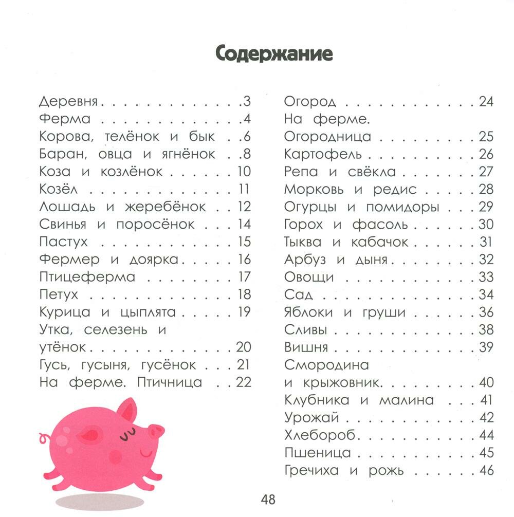 Деревня: энциклопедия для малышей в картинках. Ульева Е. А. Феникс — фото 1