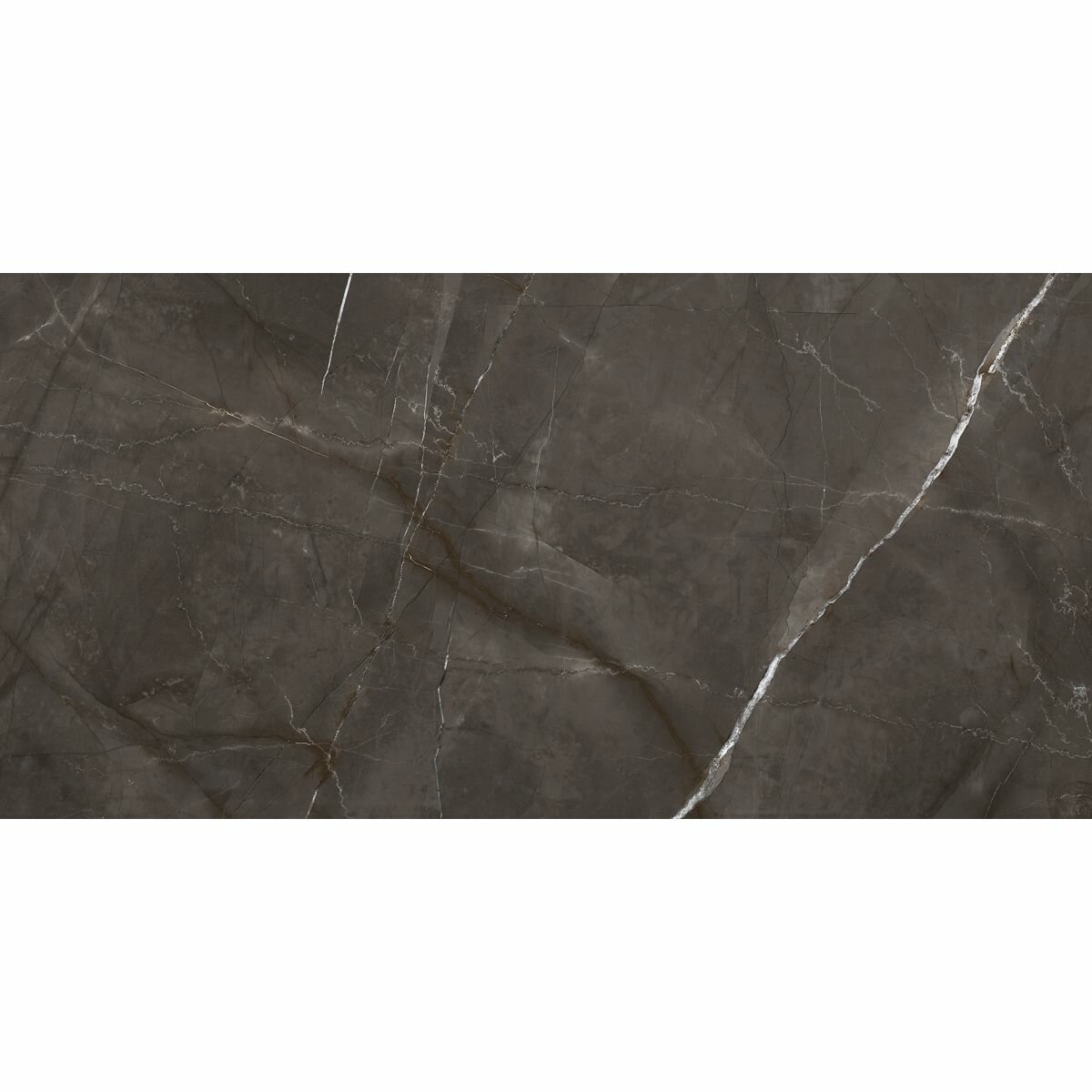 Керамогранит Laparet LP6012G0051R Таймлесс коричневый 59,5х119,1 см матовый ректификат