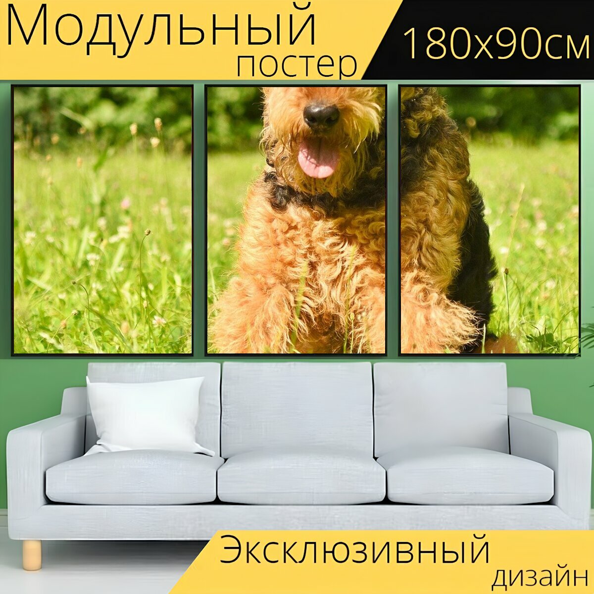 Модульный постер "Собака, эрдельтерьер, домашнее животное" 180 x 90 см. для интерьера на стену в тубусе