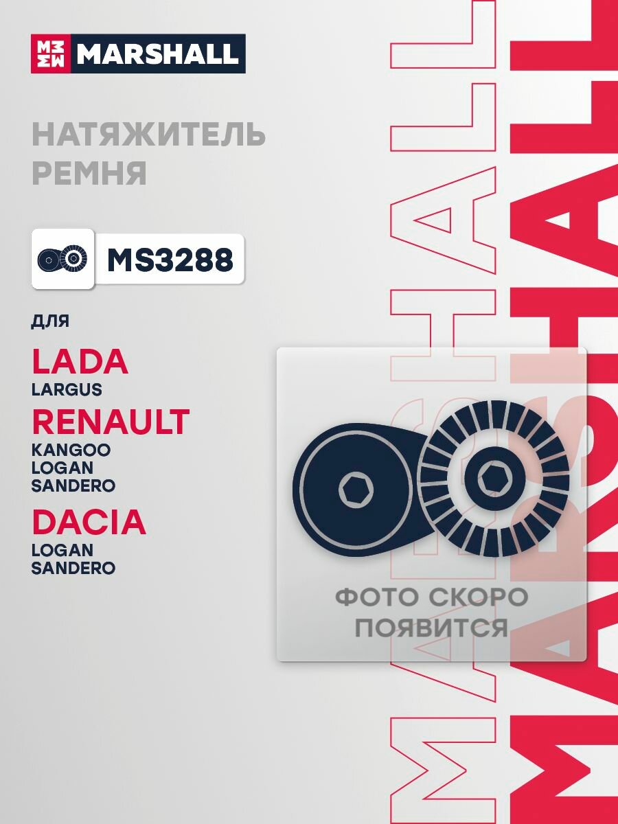 Натяжитель ремня DACIA DOKKER, LODGY, Logan Логан, Sandero Сандеро, SOLENZA, LADA Лада ВАЗ Largus Ларгус, Renault Рено Kangoo Кангу, Sandero Сандеро 8200908180