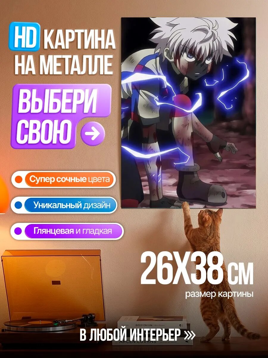 Картина на HD металле Киллуа Золдик