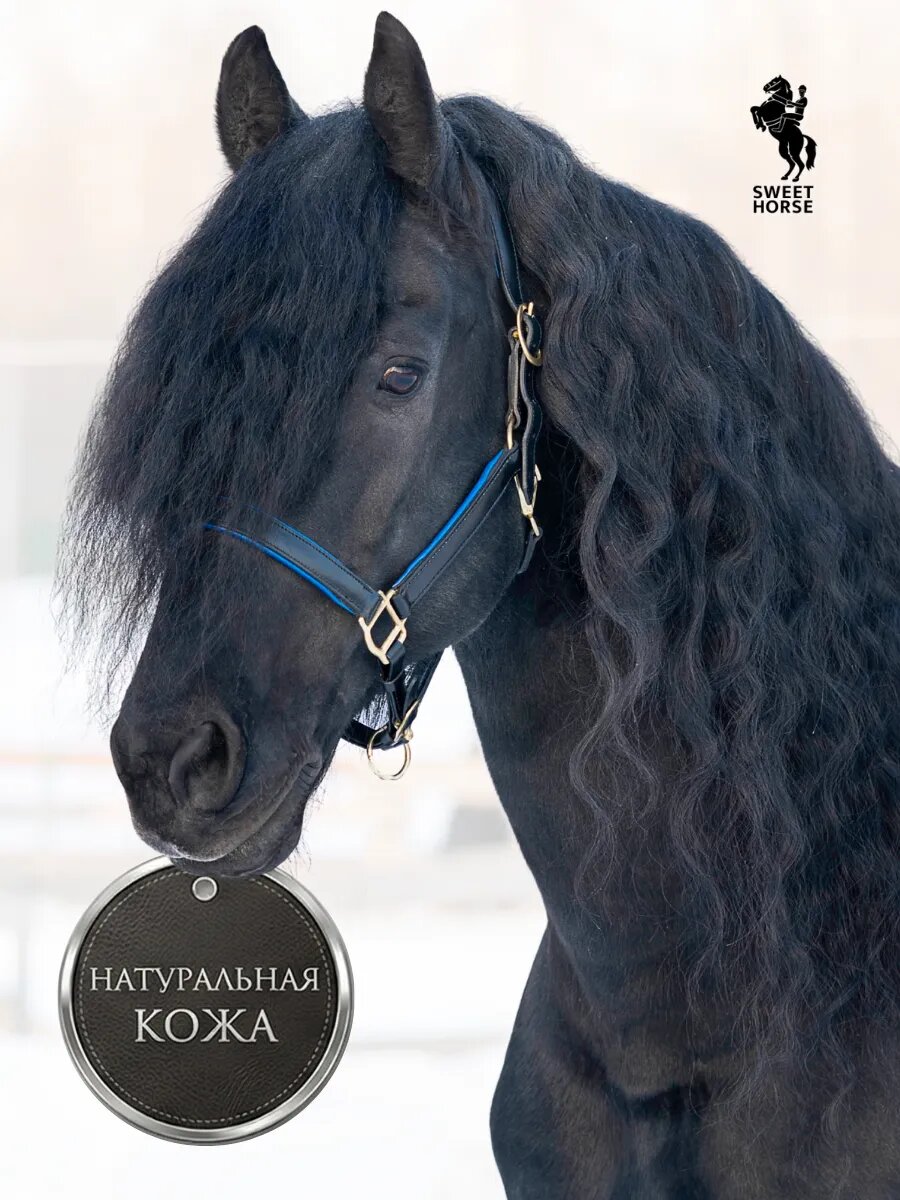 Sweethorse/Недоуздок для лошади натуральная кожа, черный, Full