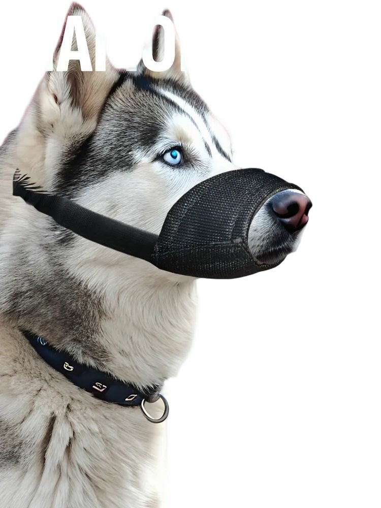 Намордник