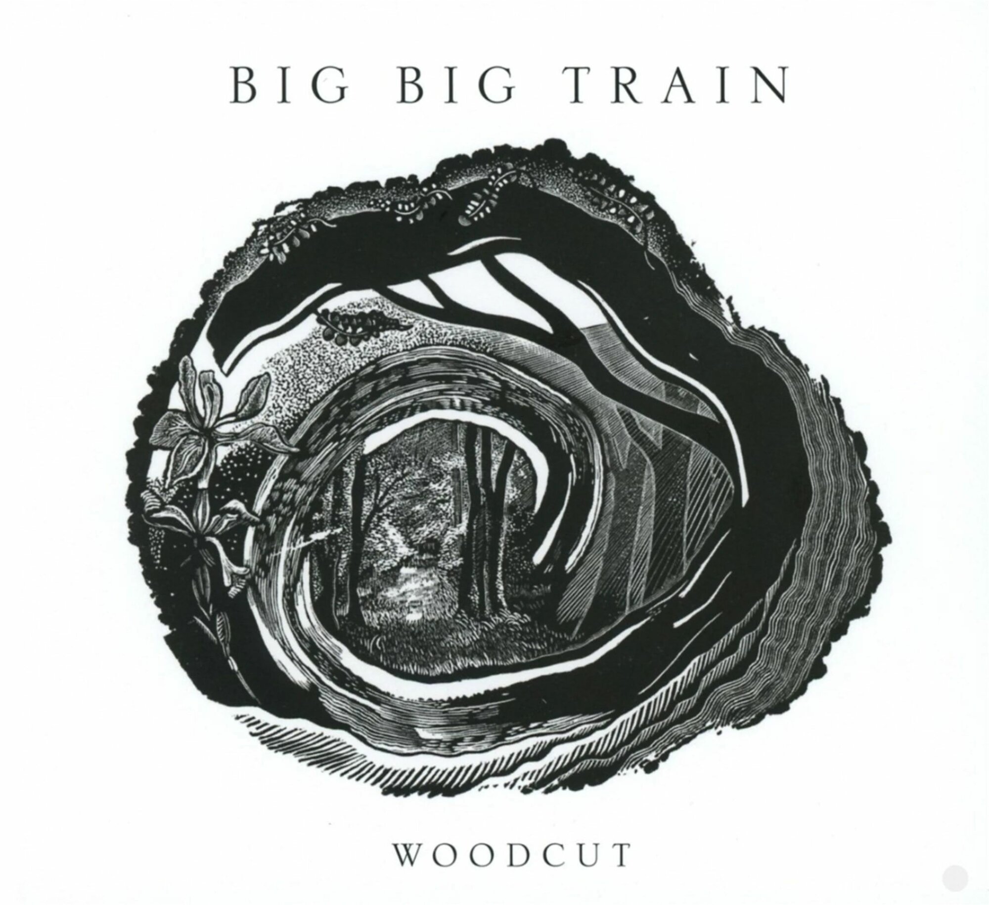 CD диск Big Big Train - Woodcut (CD+BR-A) Deluxe, 2026