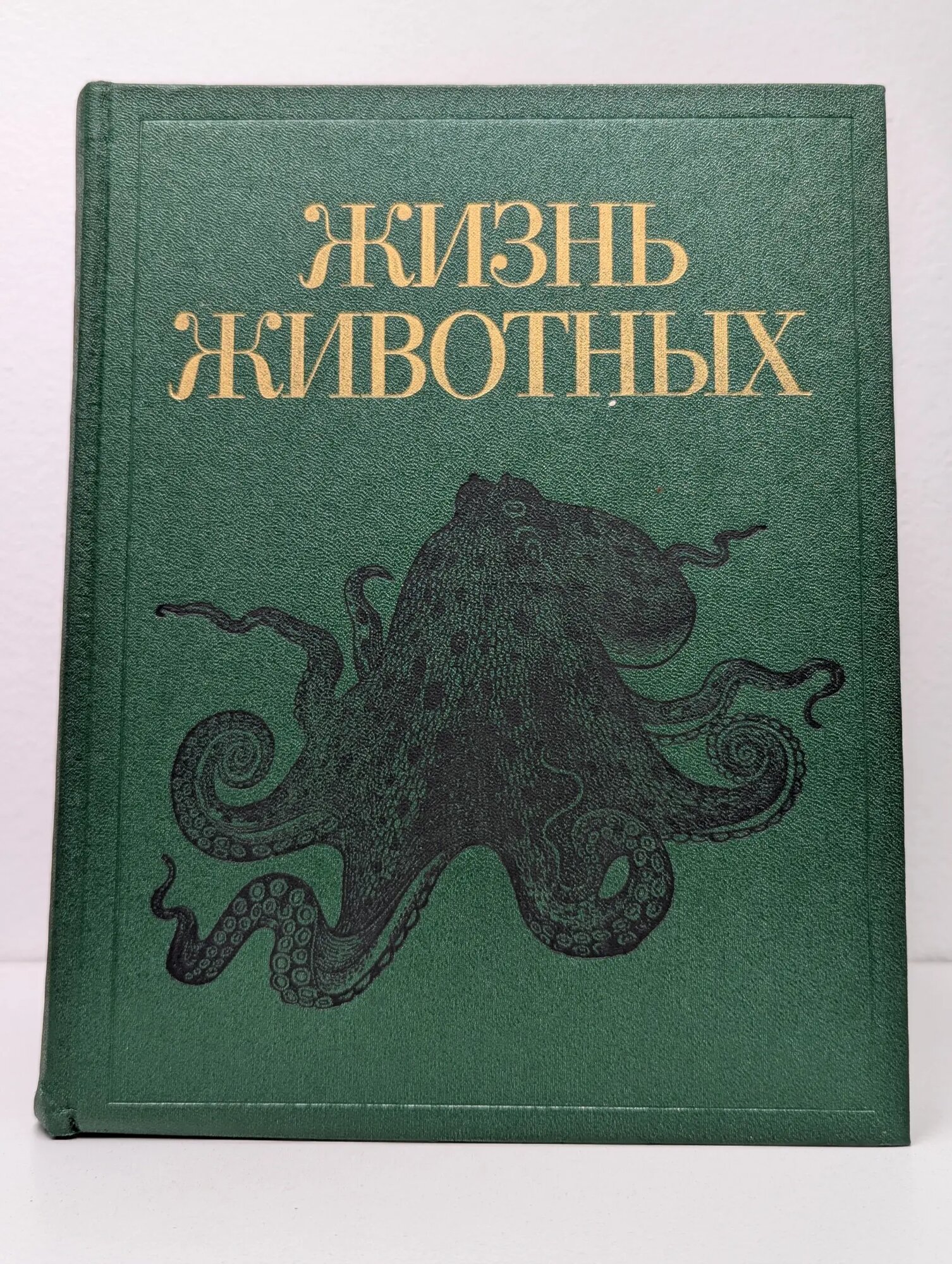 Жизнь животных. В 7 томах. Том 2. Моллюски Соколов Владимир Евгеньевич (ред.) 1988
