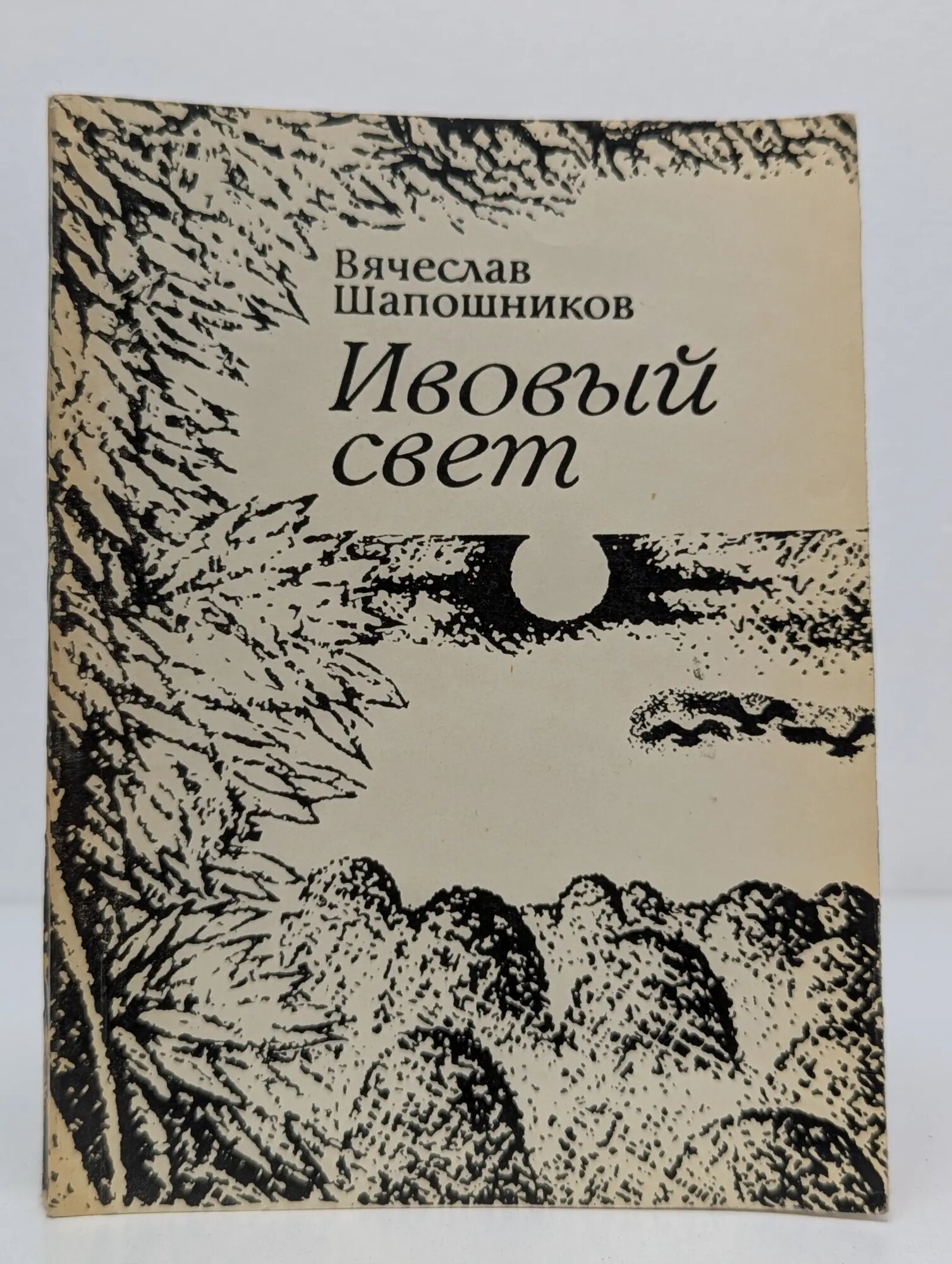 Ивовый свет Шапошников Вячеслав Иванович 1982