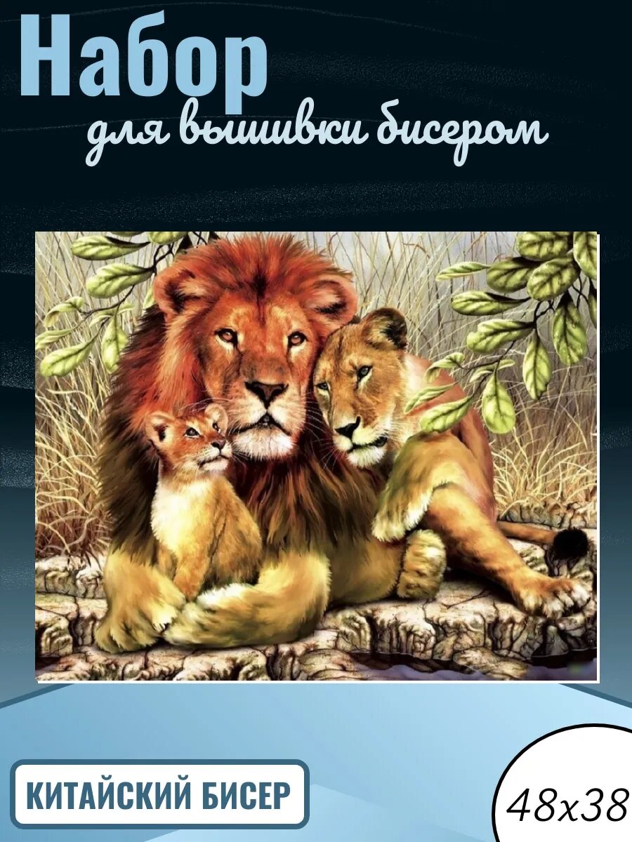 Набор для вышивания бисером "Львы" 48х38