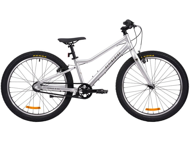 Подростковый велосипед Alpine Bike Pegas 3-24, год 2026, цвет Серый